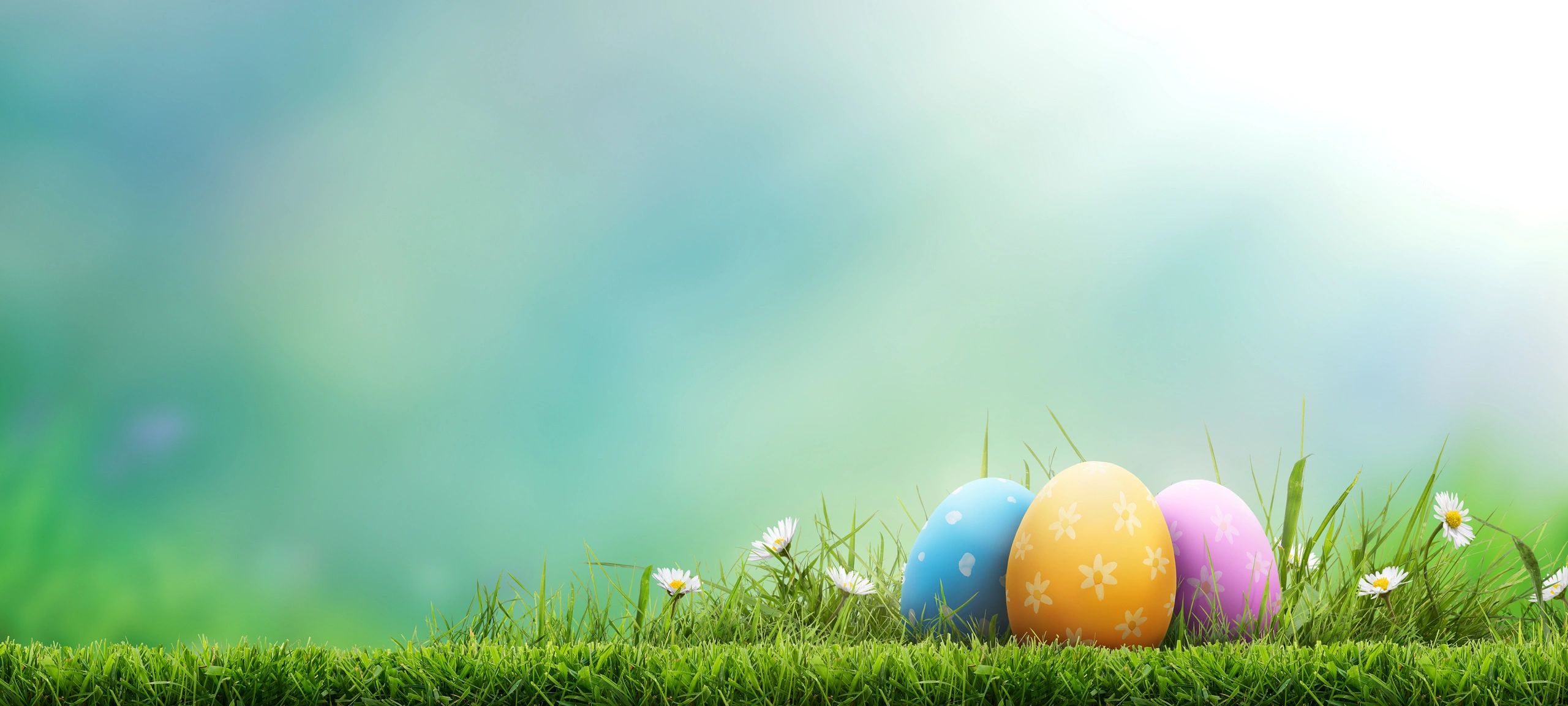 Your Path to Positive Change - Fresh Start Intervention