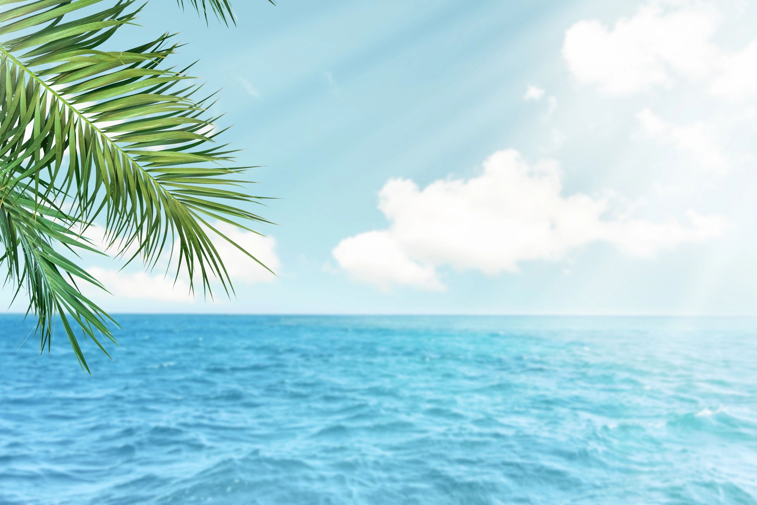 Violet Crown Travels