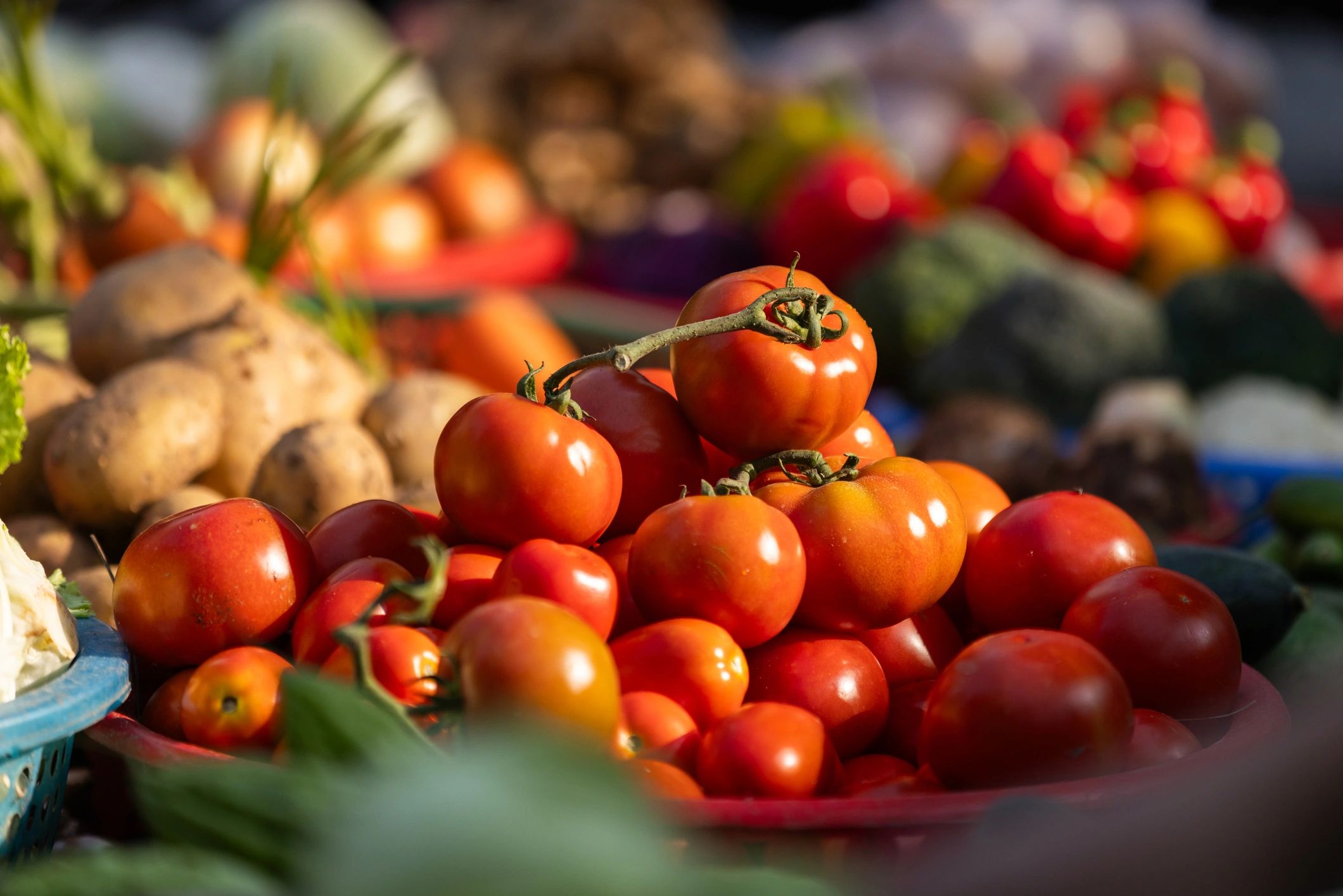 Main Street Mercantile: Your Local Grocery Store