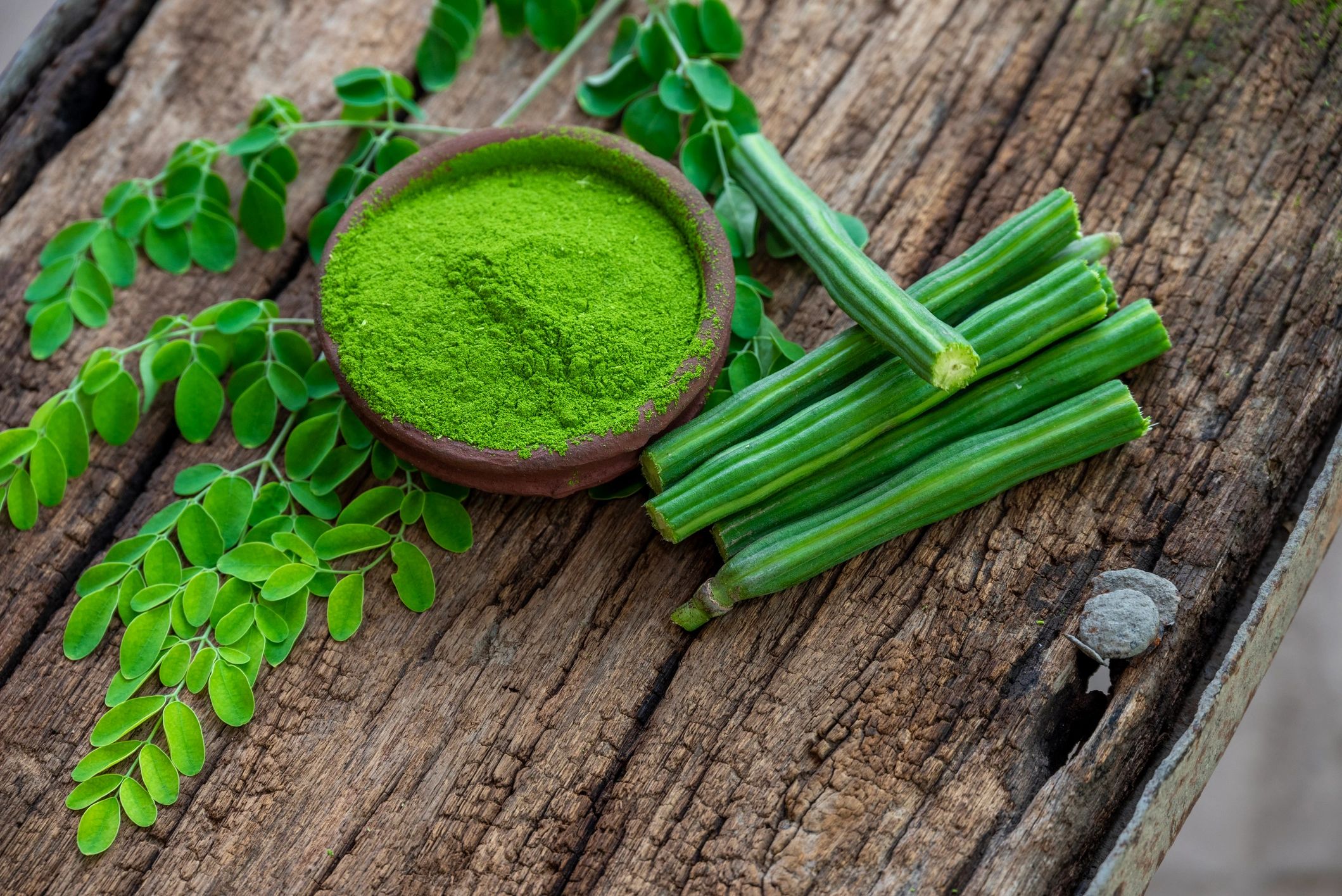 Organic Moringa Oleifera - Your Superfood for Health!