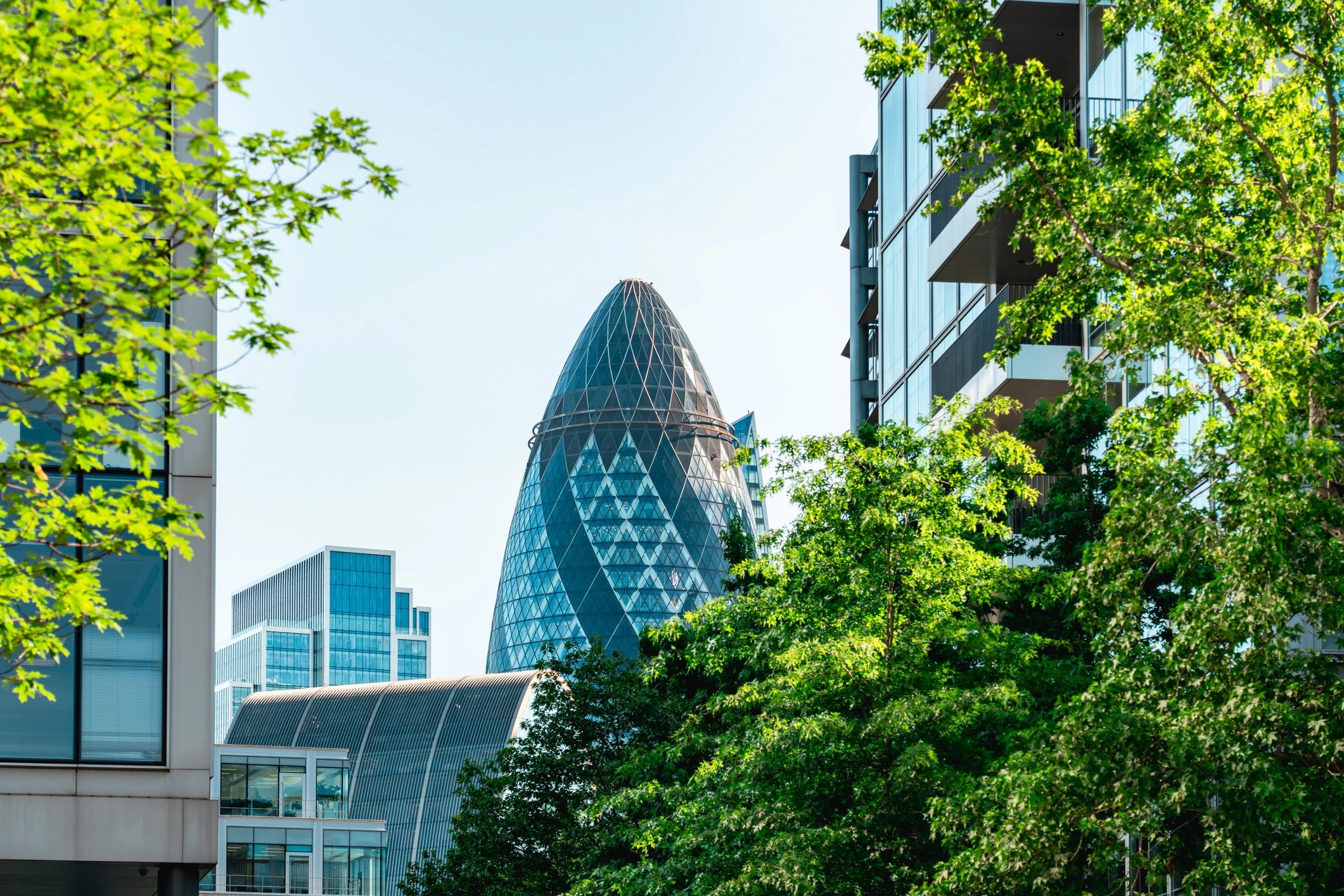 Contact Us | Clockwork Reactive