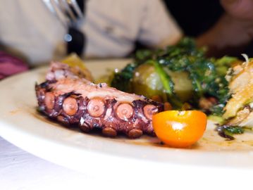 View Menu | Zesty Greek Cuisine