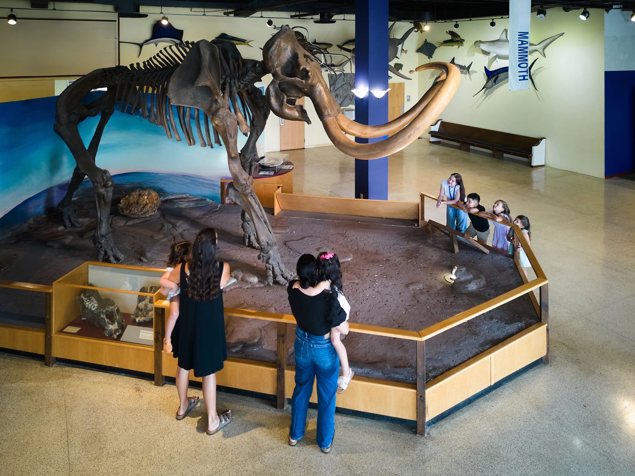 Therium: Palaeontology & Museum Consulting