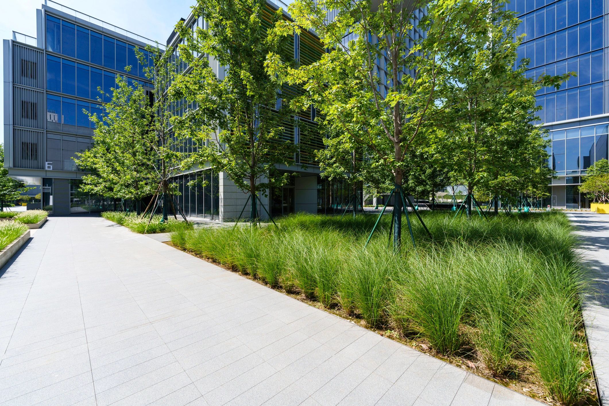 Paradigm Services, LLC