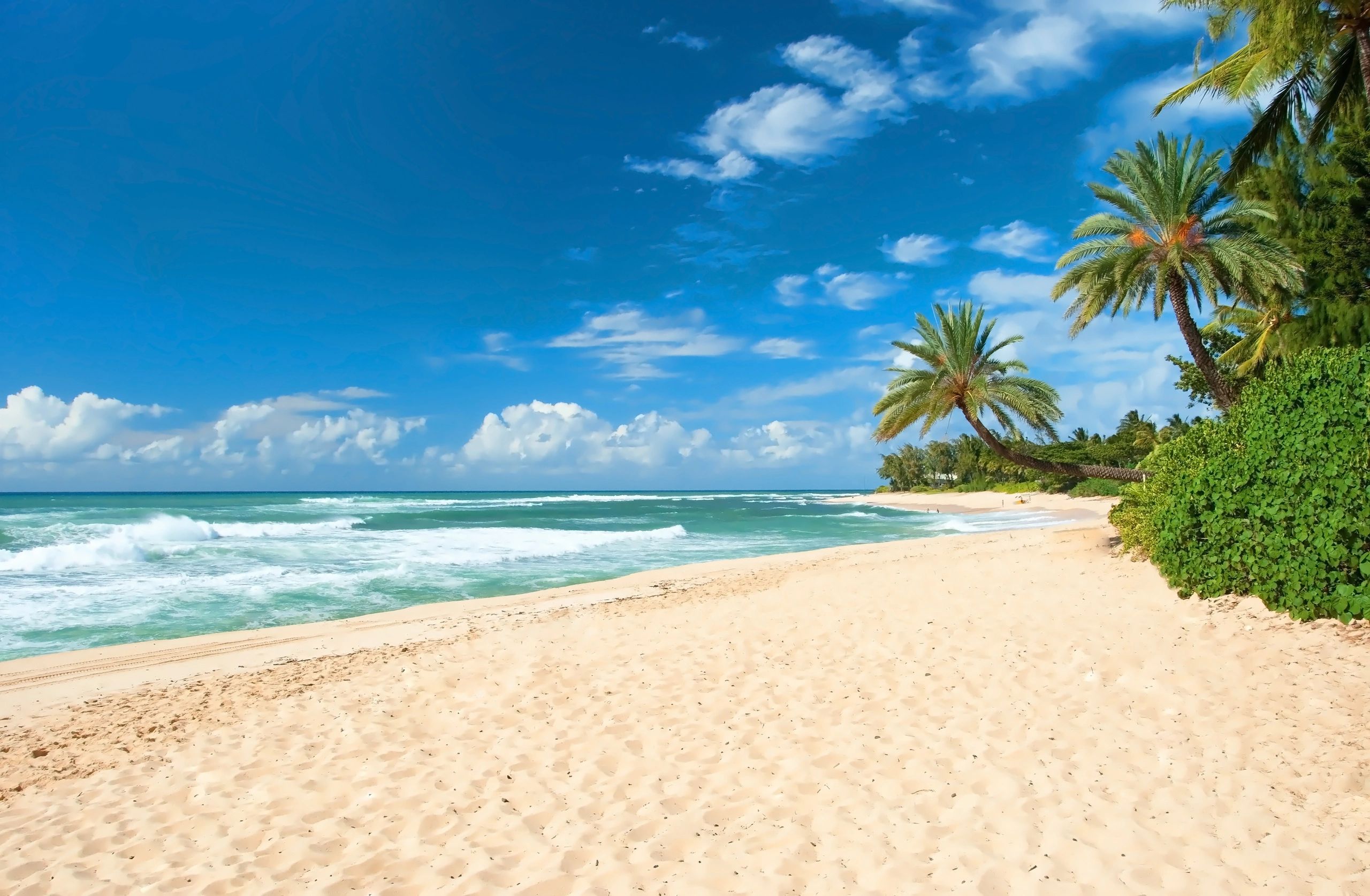 Hawaiian Itch: Understanding This Tropical Skin Condition