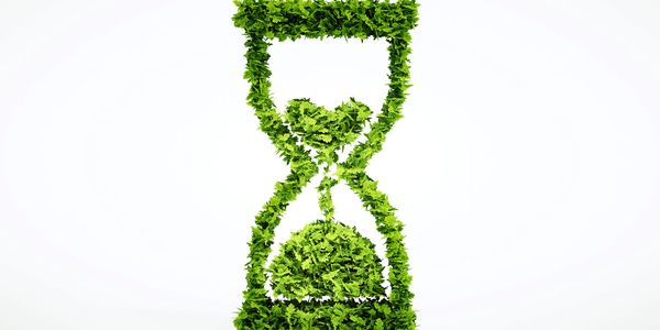 ENERGY Insulation, Inc. - Home