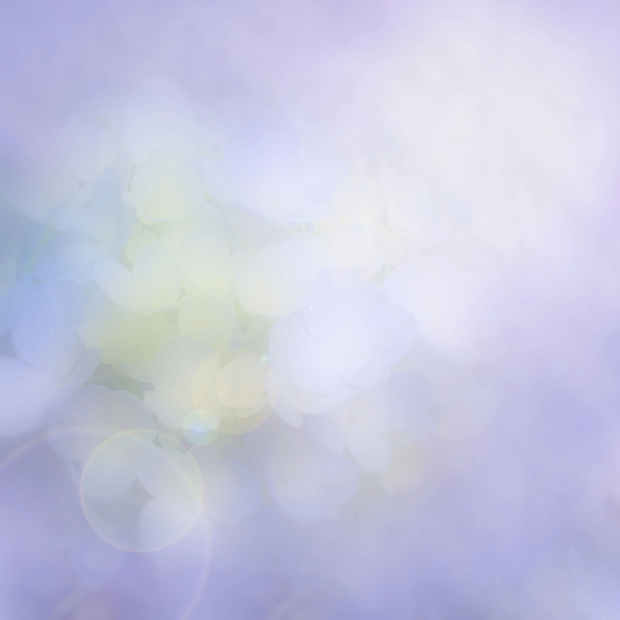 Moonflora
