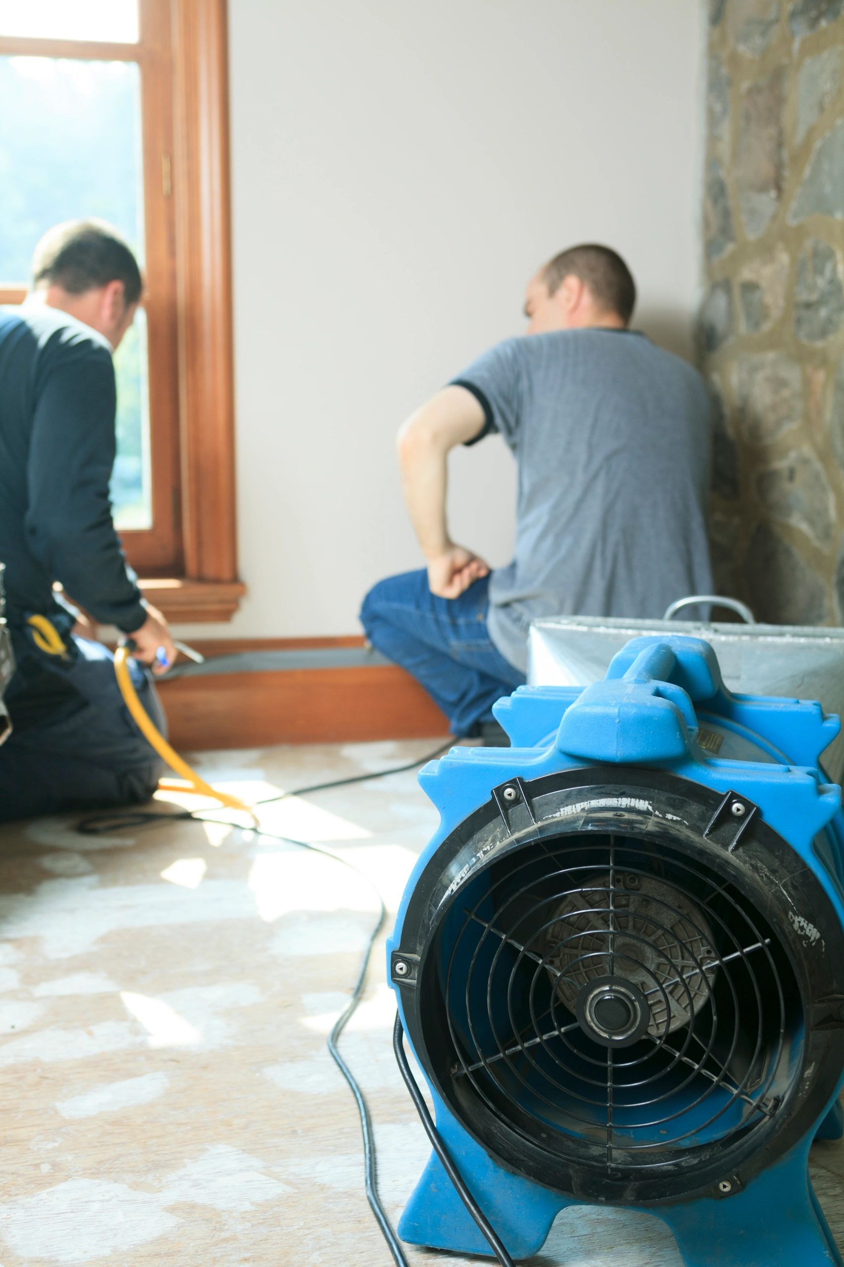 Blue Chip Restoration