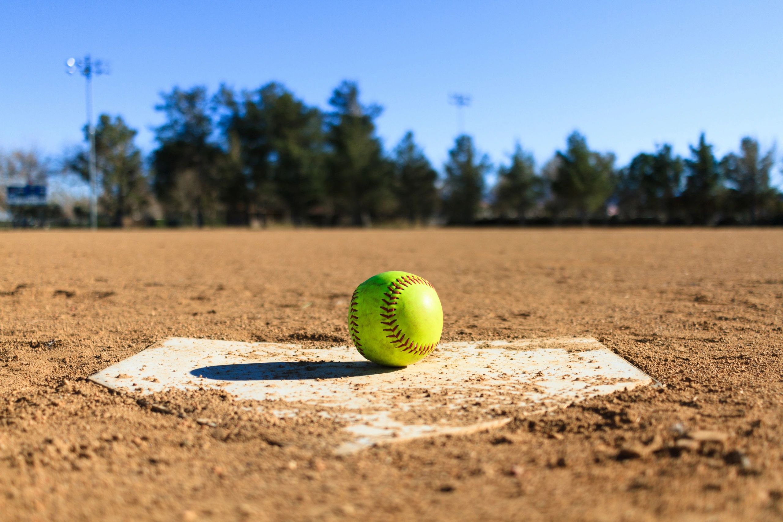 Revolution Fastpitch