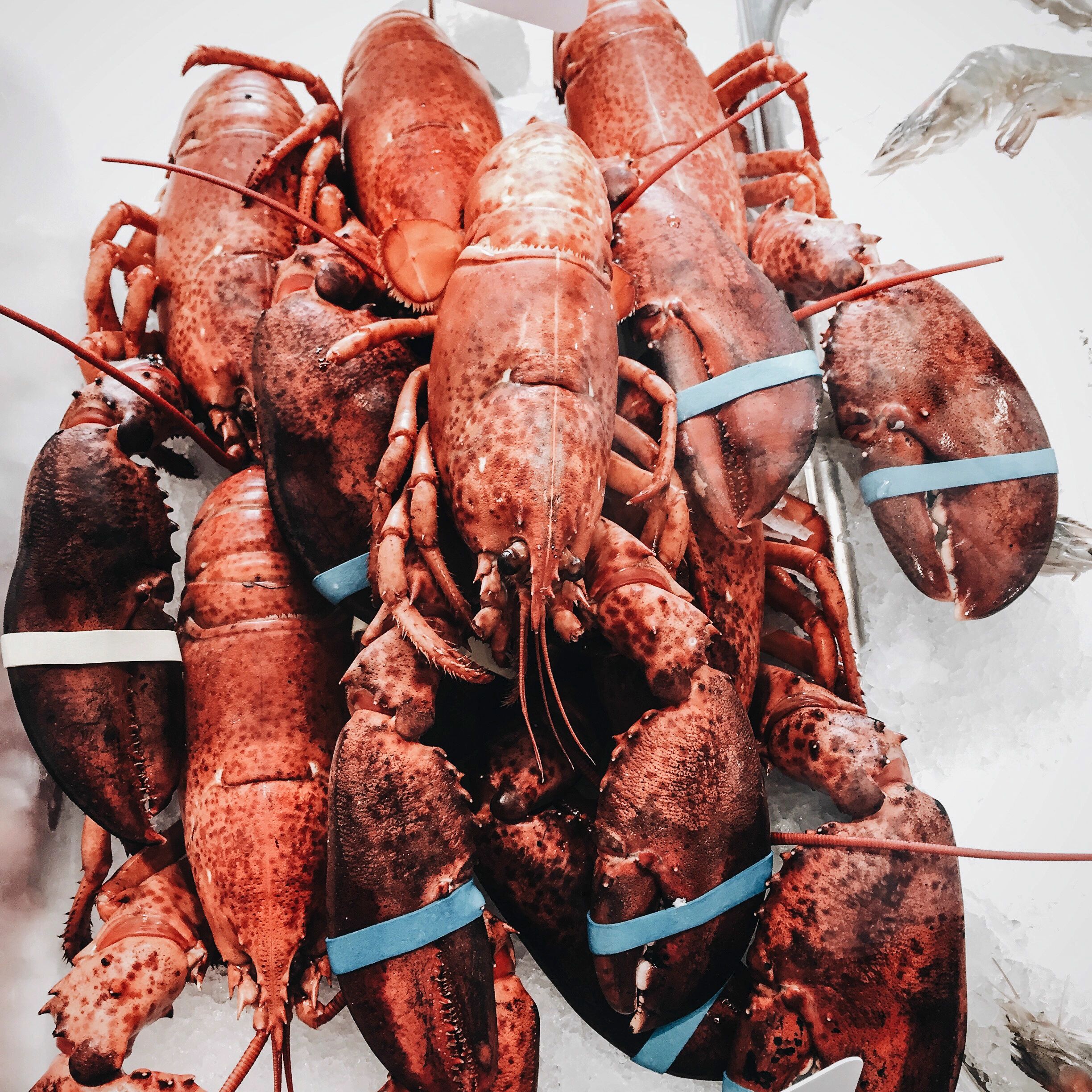 Linda's Lobsters Hampton Beach NH