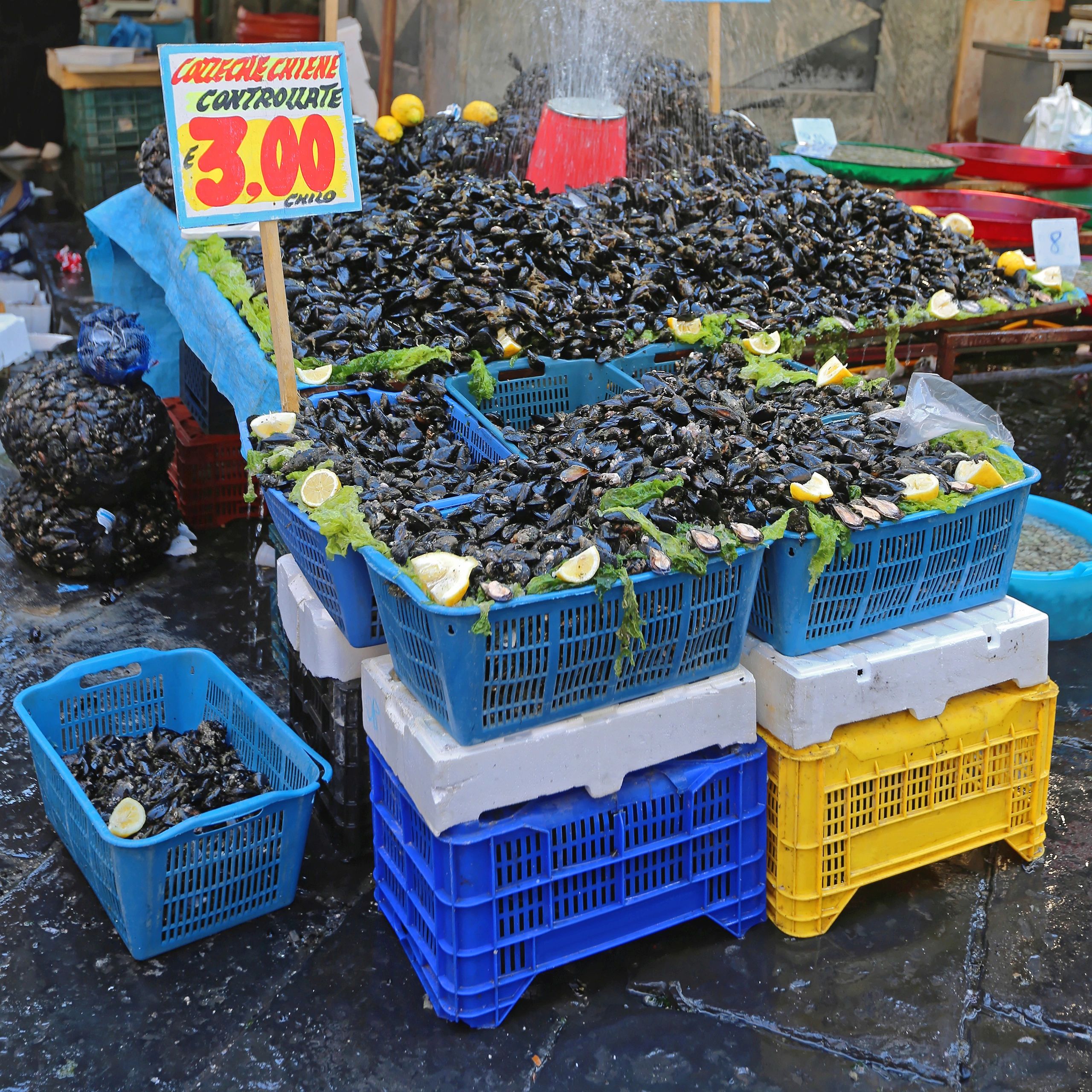 Très Amigos Fish Market