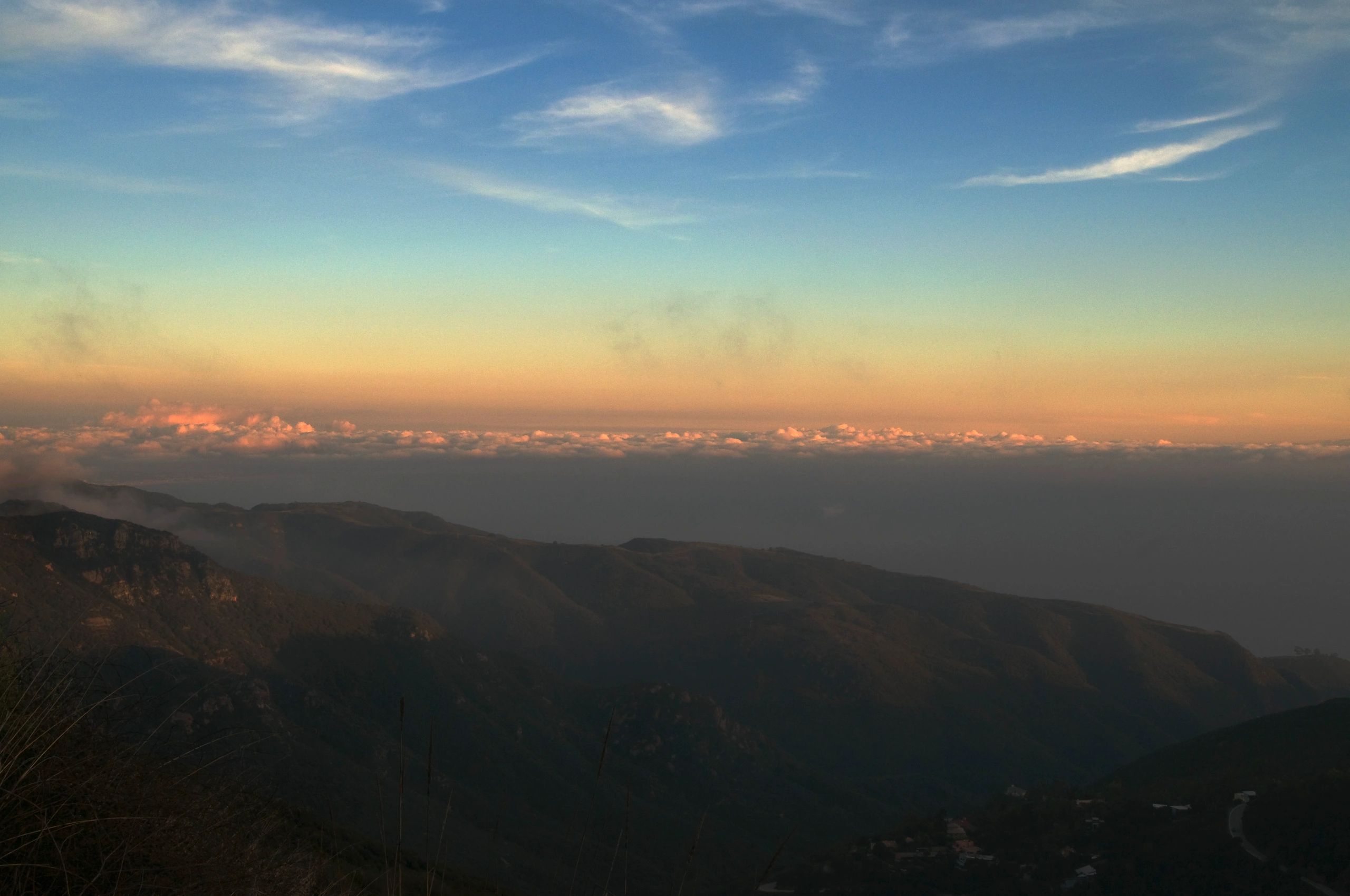 Professional Debris Removal Services