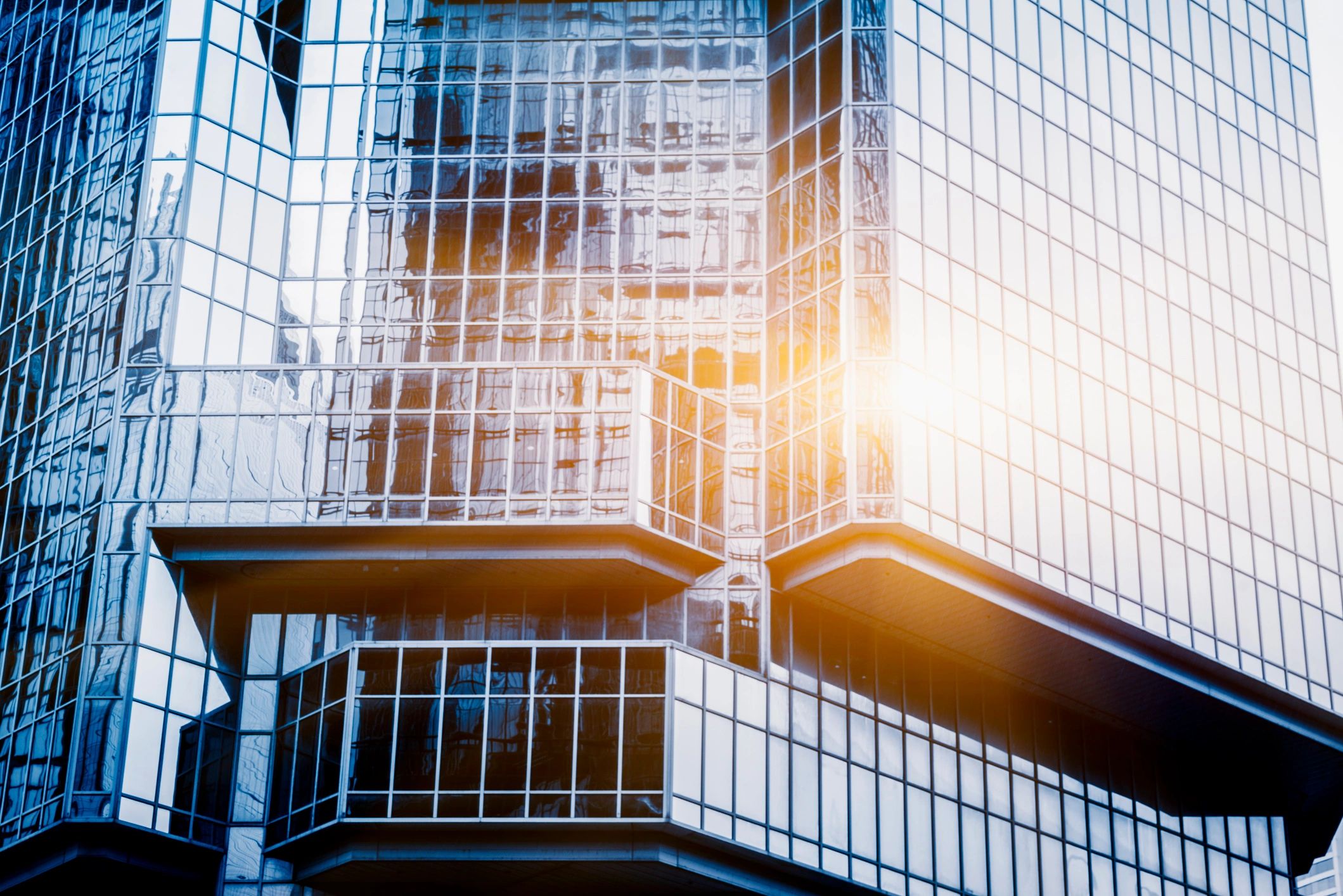 Everguard Management