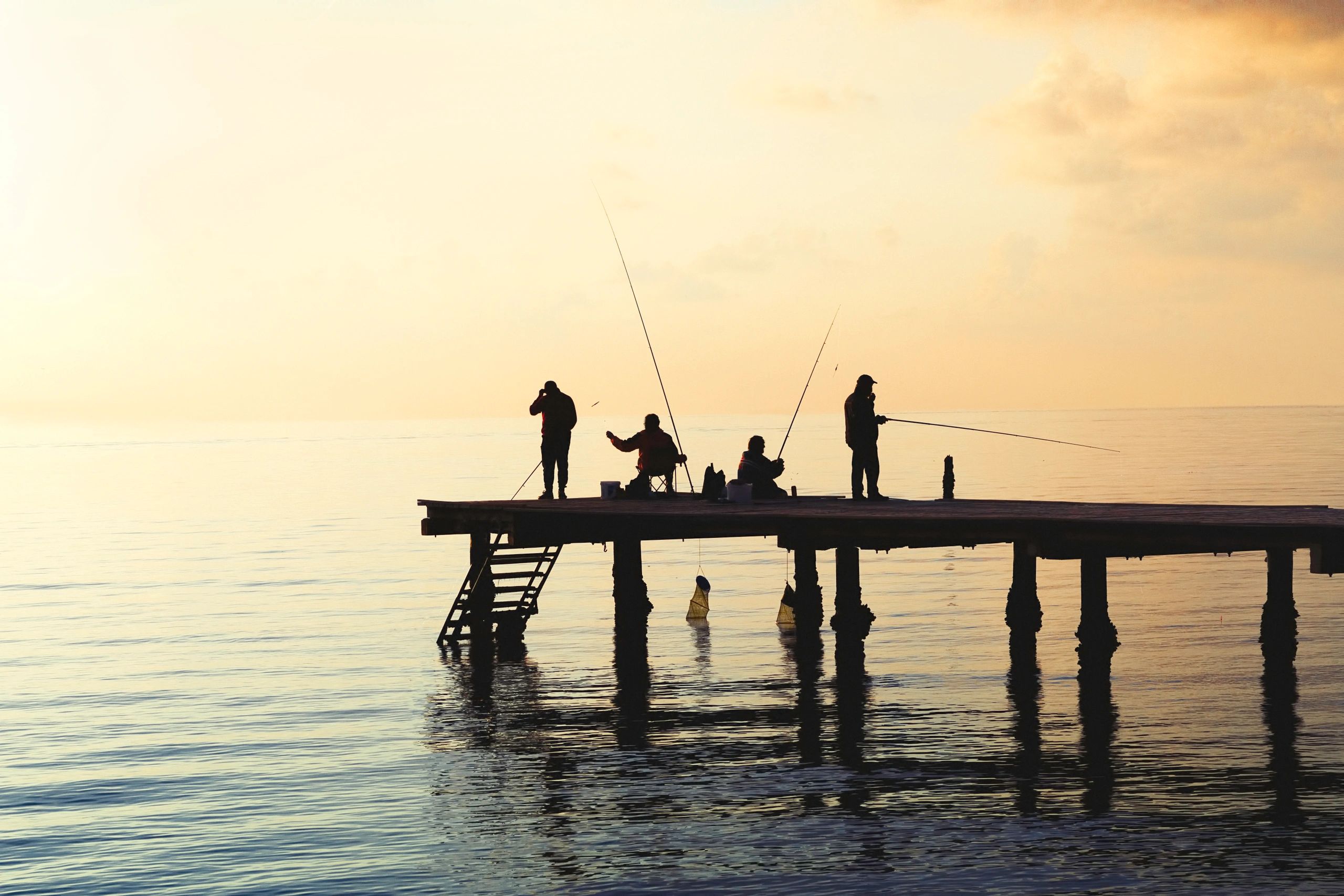 Expert Fishing Support for Every Angler