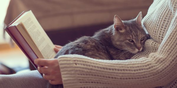 About Us | Catitude Cafe