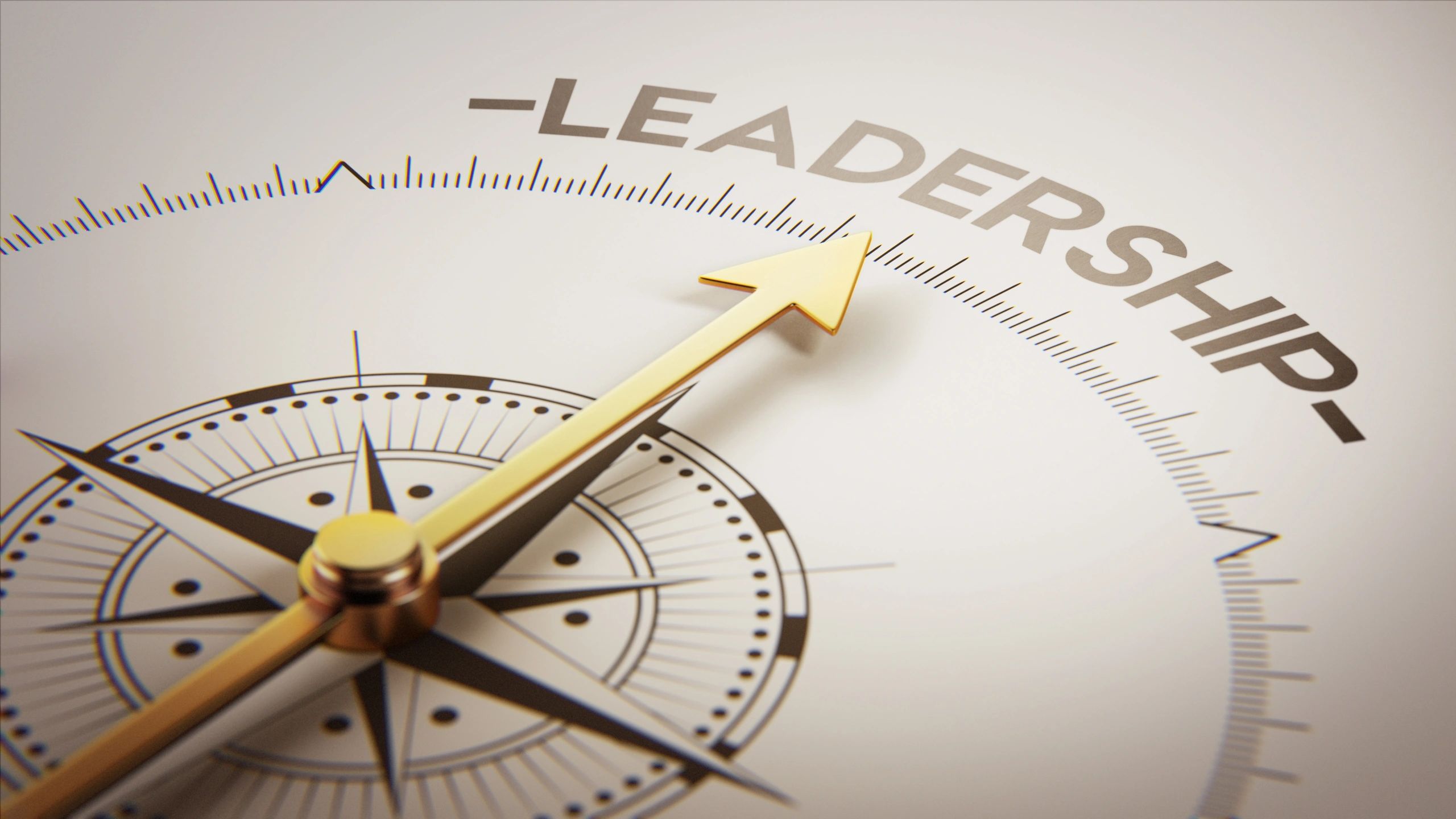 National Leader