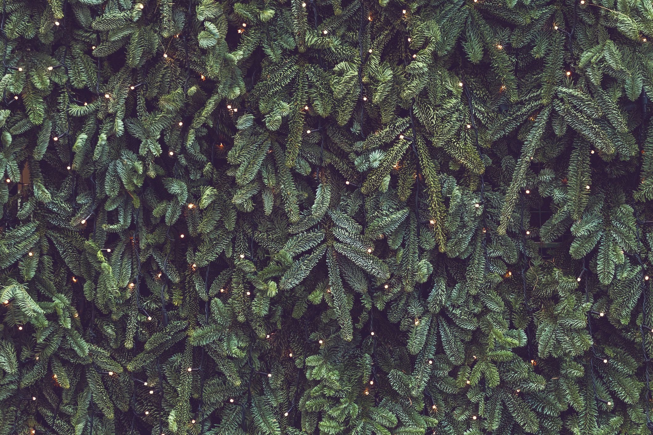 Blue Ridge Designs