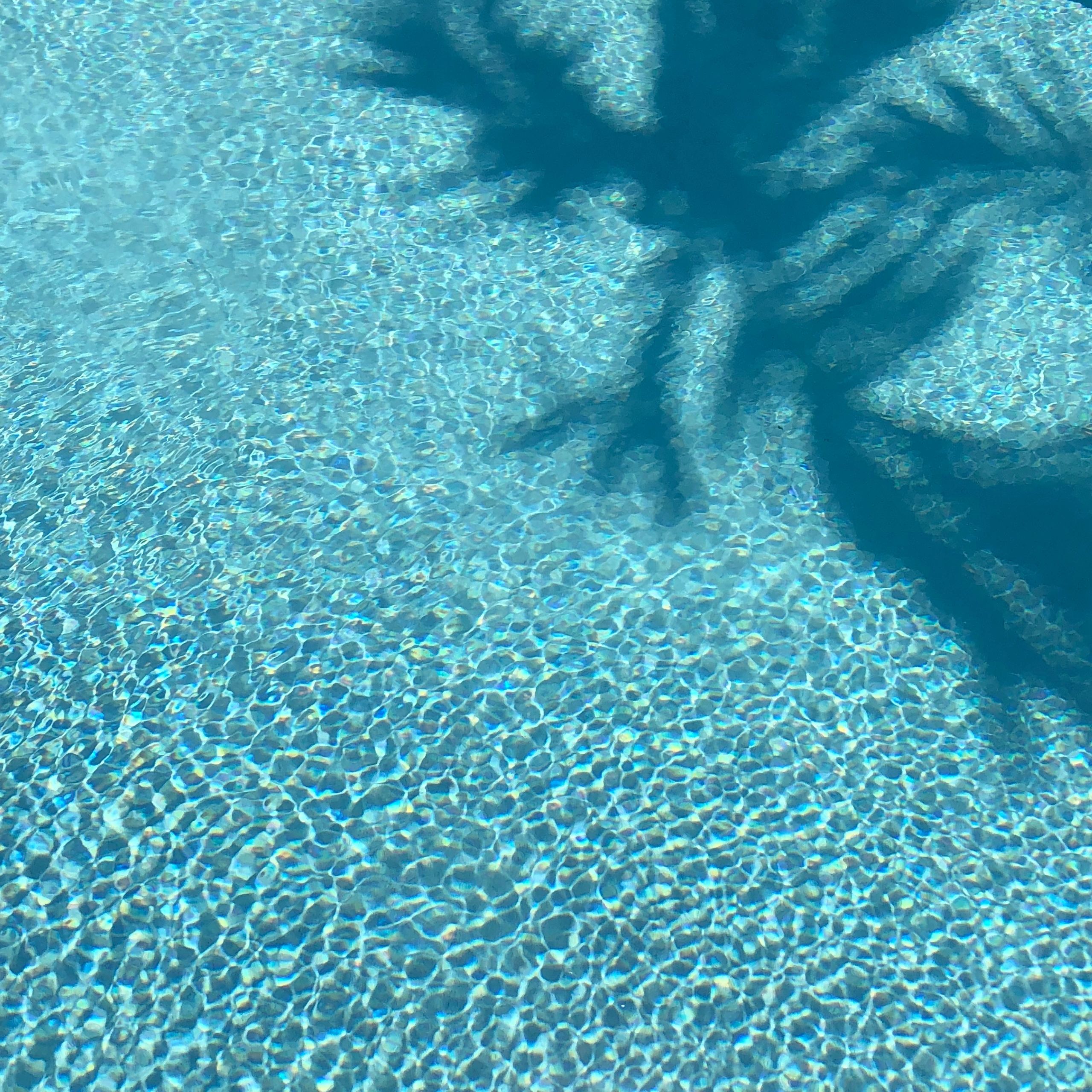 Lifetime Pools