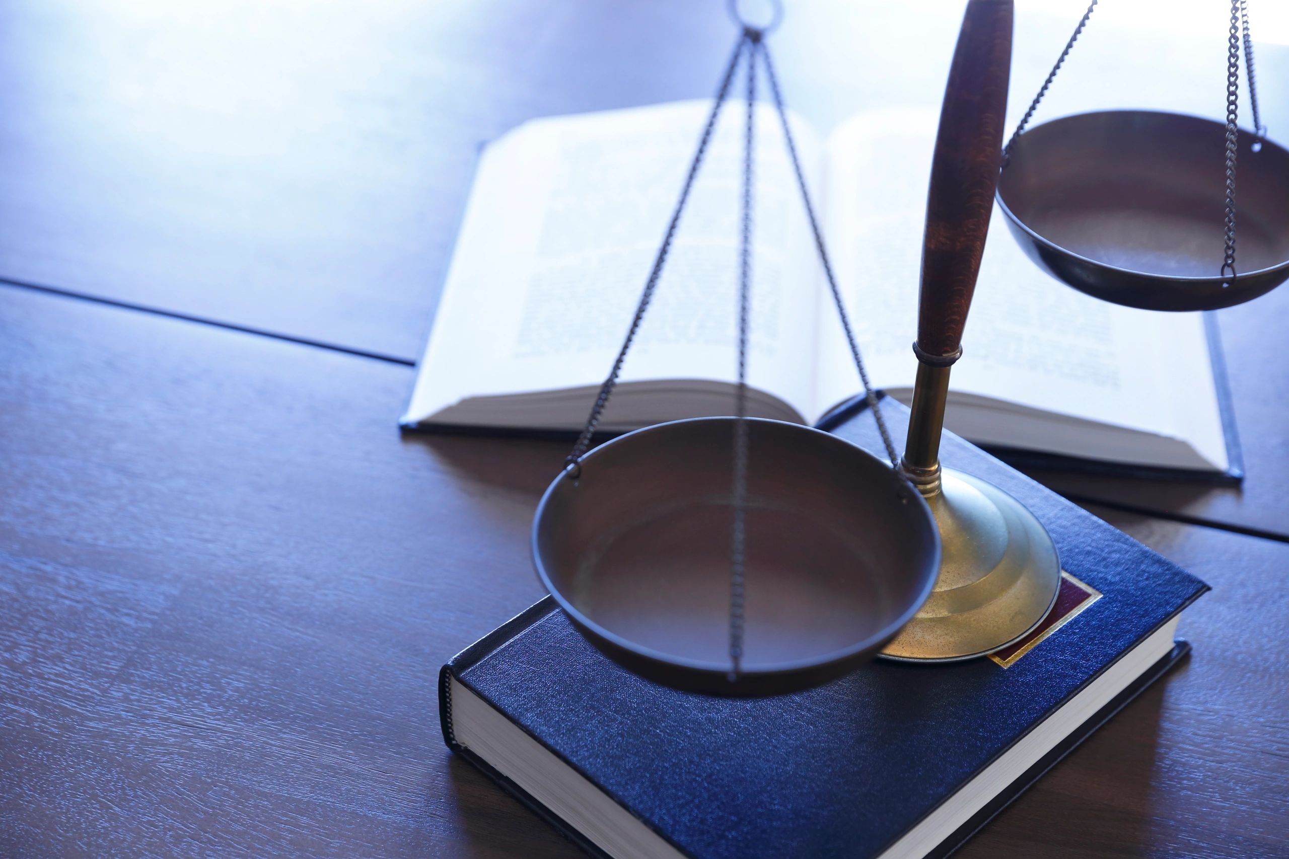 Expert Legal Services by John M. Batchelor