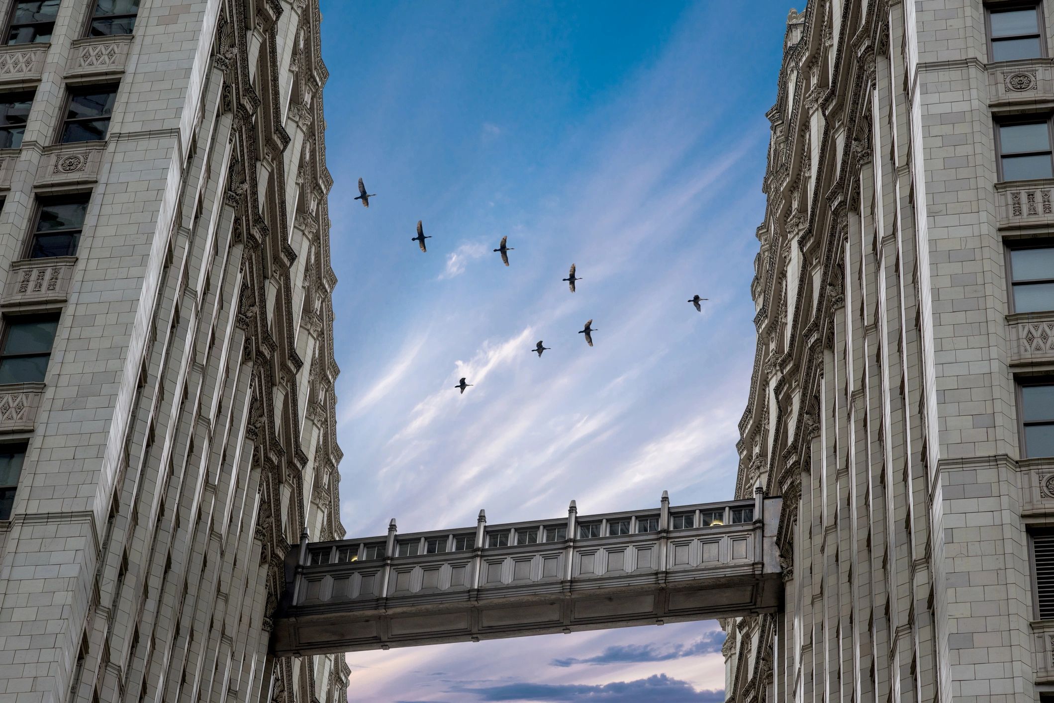 HeronEQ Team | Operators, Builders, and Growth Partners