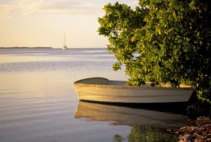 "The Boat Reached The Shore"