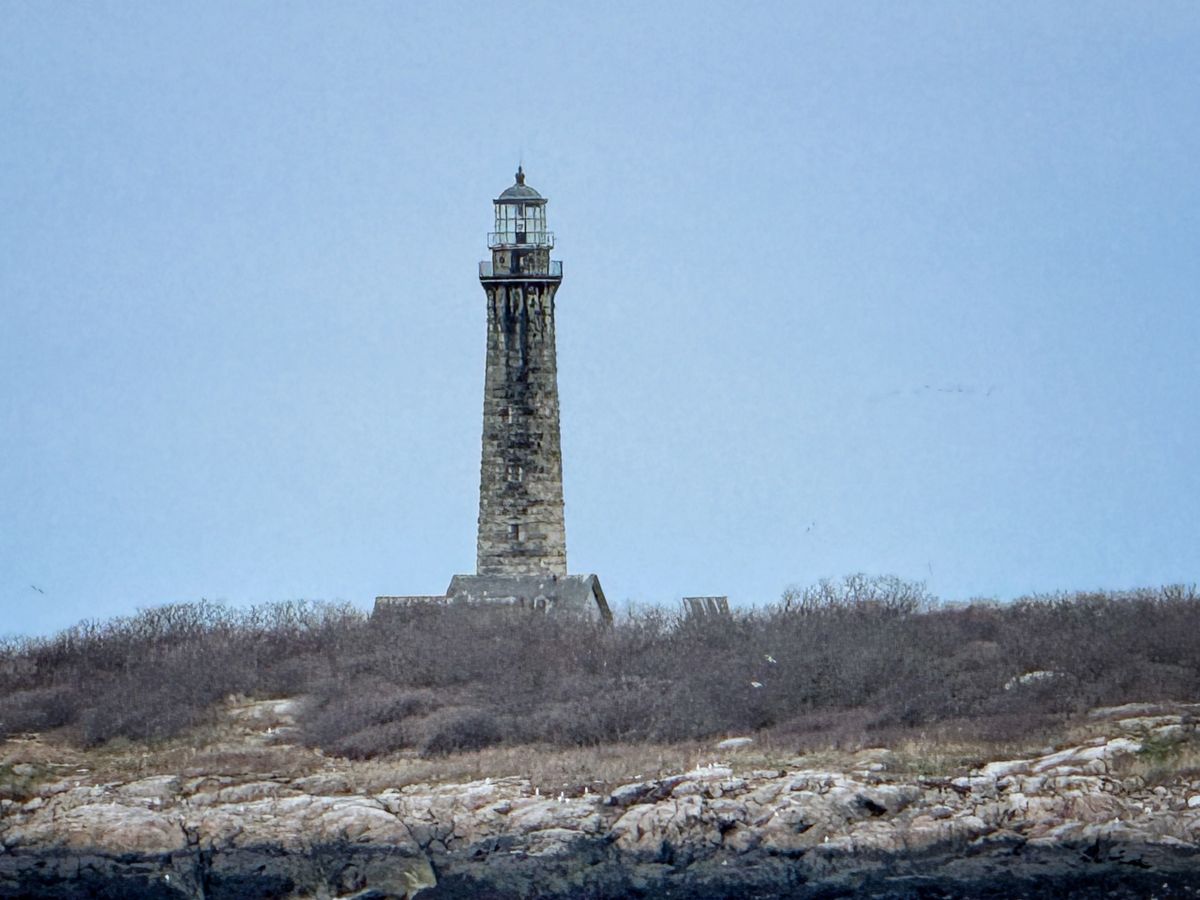 Cape Ann Light Station "Behind the Brush" Art Print