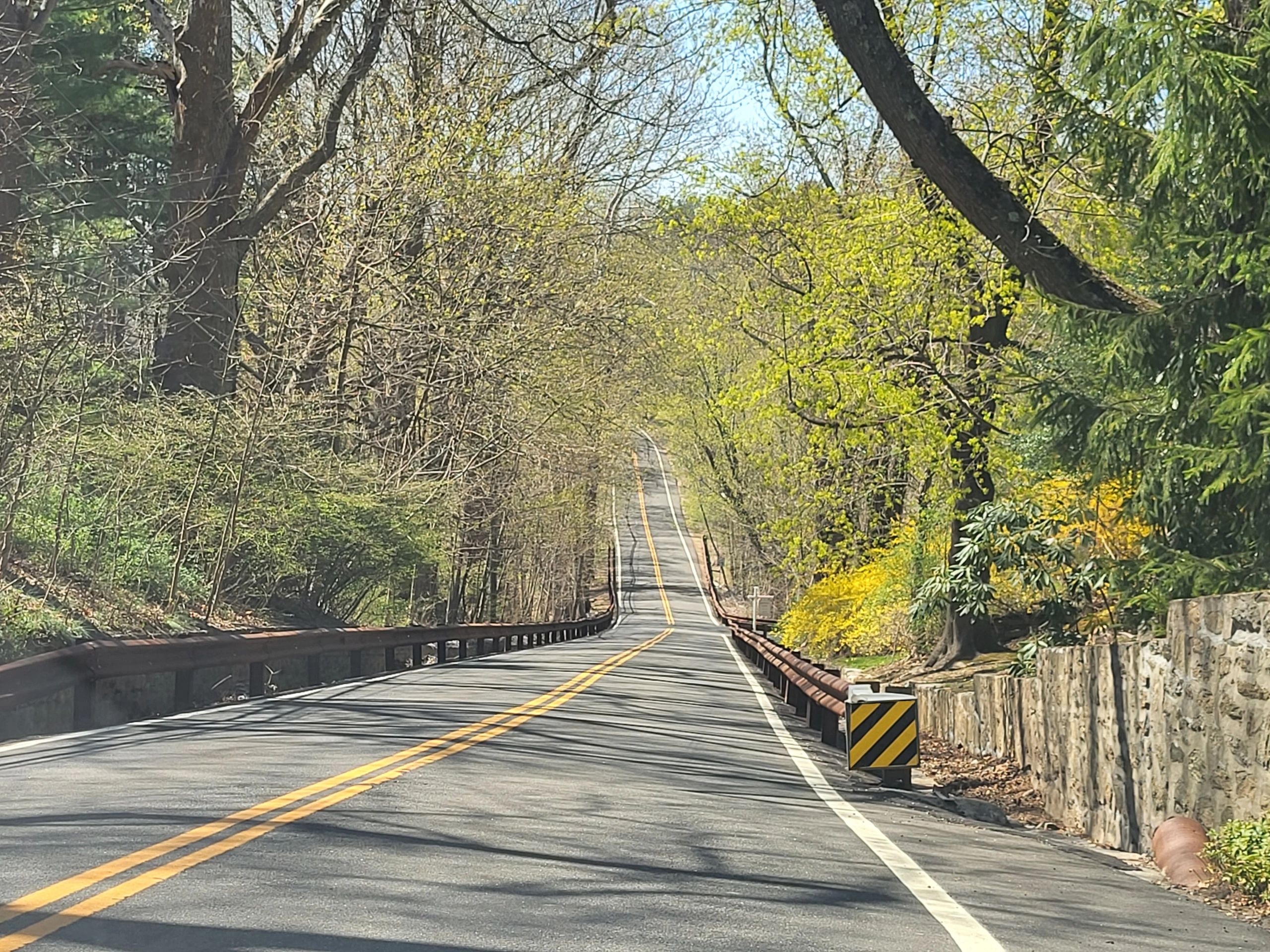 Learn to Drive with Neurodiverse Driving Instructors