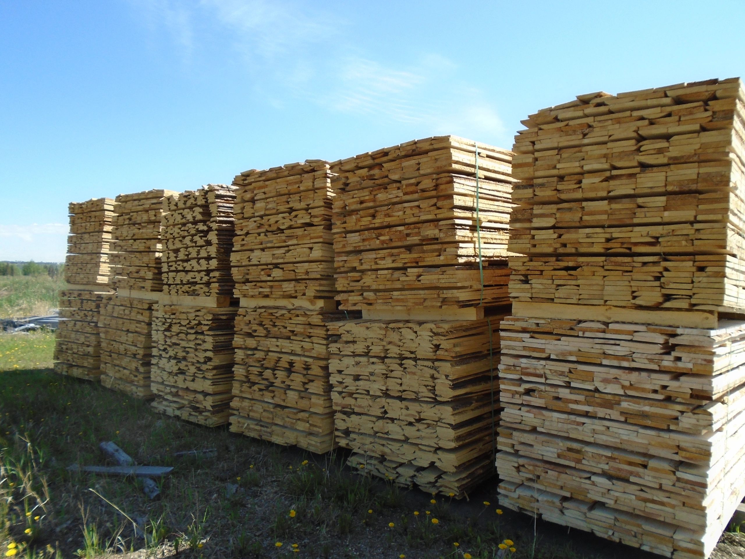 Kodiak Forest Products