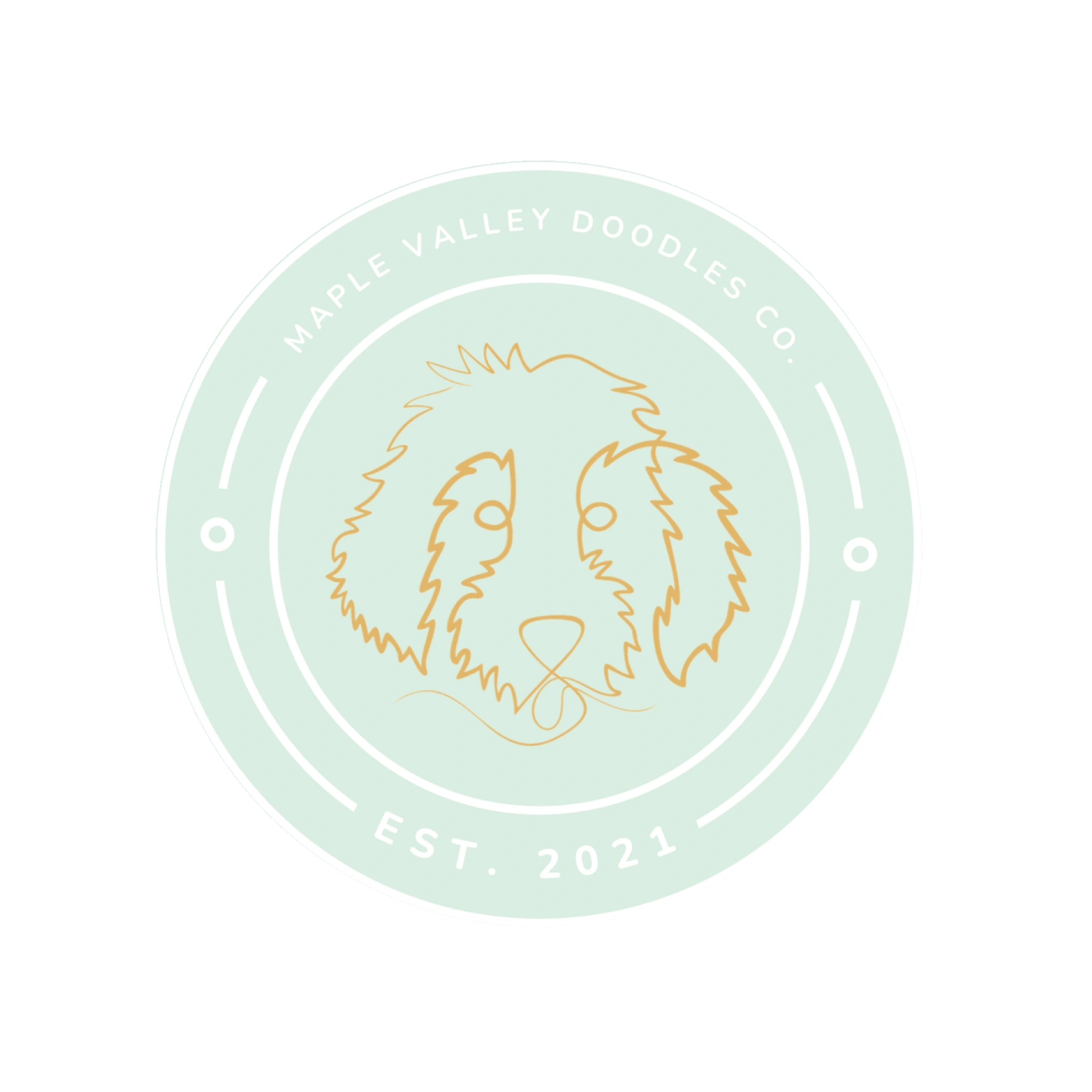 Miniature Goldendoodle Puppies | Maple Valley Doodles CO