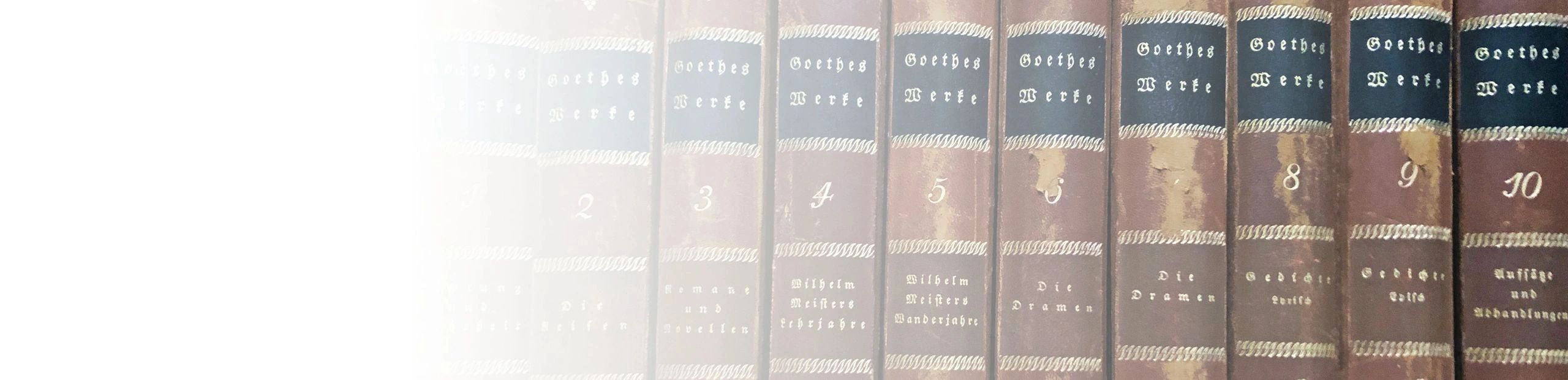 IB German A Literature SSST - Learn with My Tutor