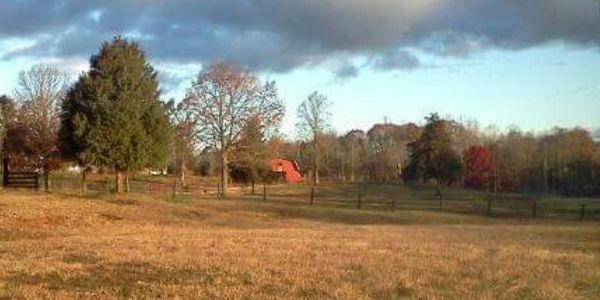 Easy Bend Rodeo - Rodeo - Clemson, South Carolina | Easy Bend Rodeo