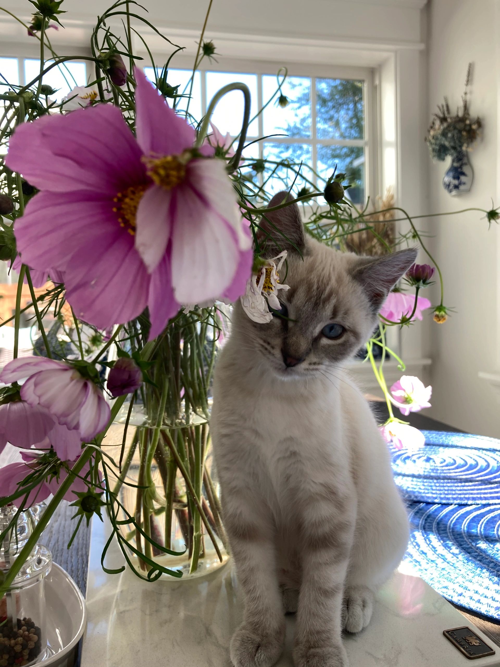 Flowers by AJ