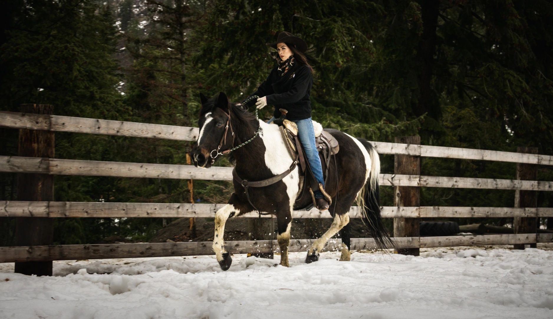 Meet the Team | For the Ferals