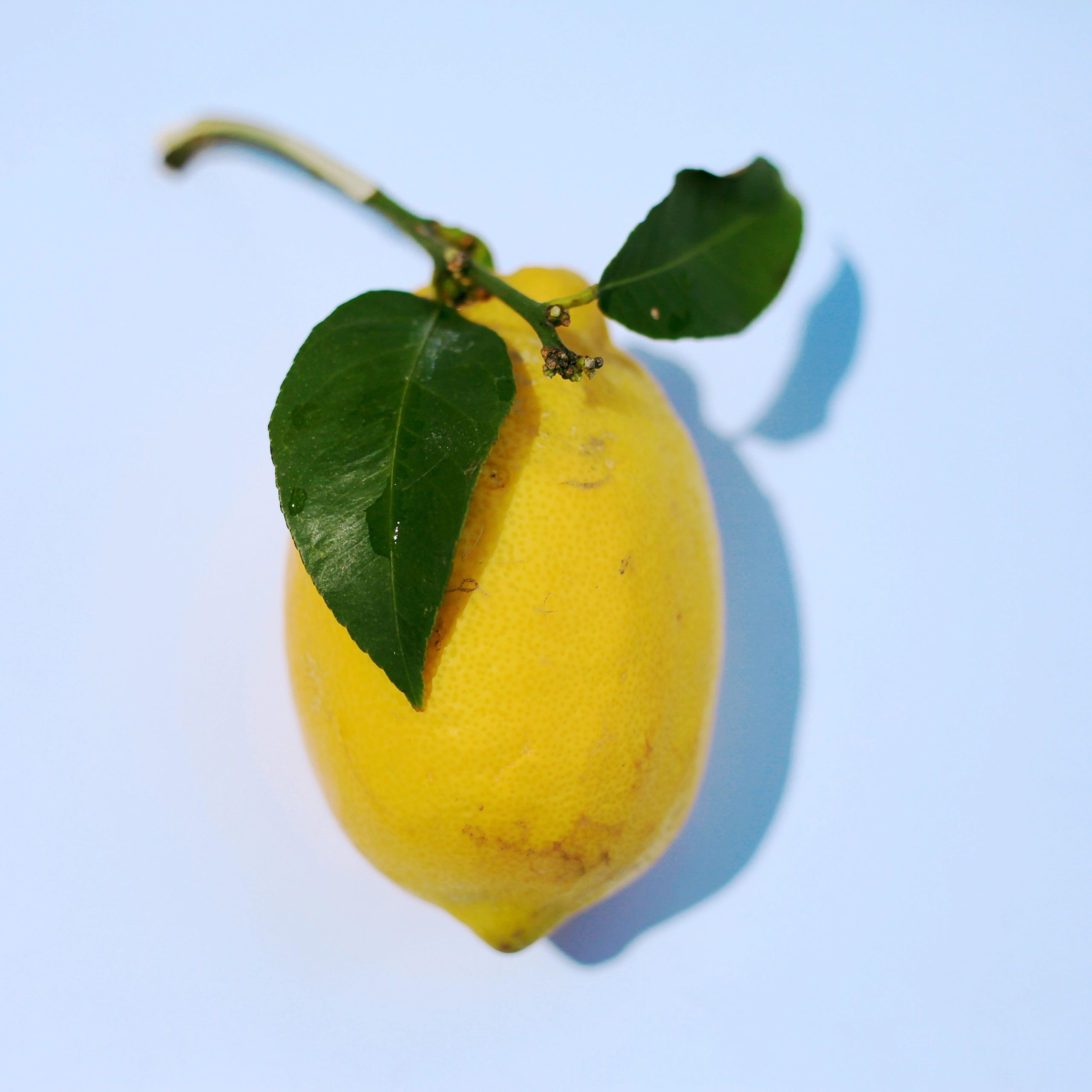 Lemon Stone Events Ltd - Menu, Caterer, Party Menus