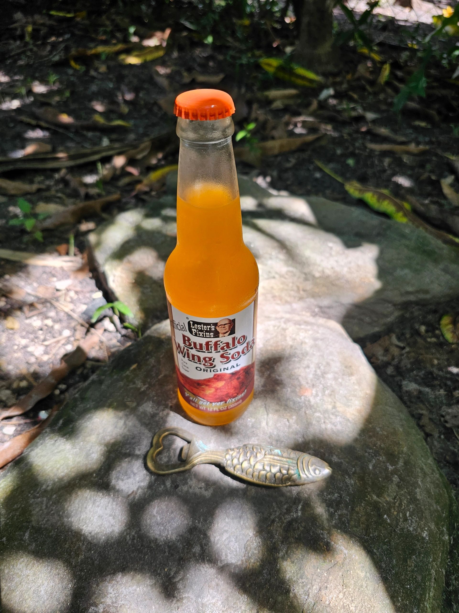 Lester’s Fixins Buffalo Wing Soda