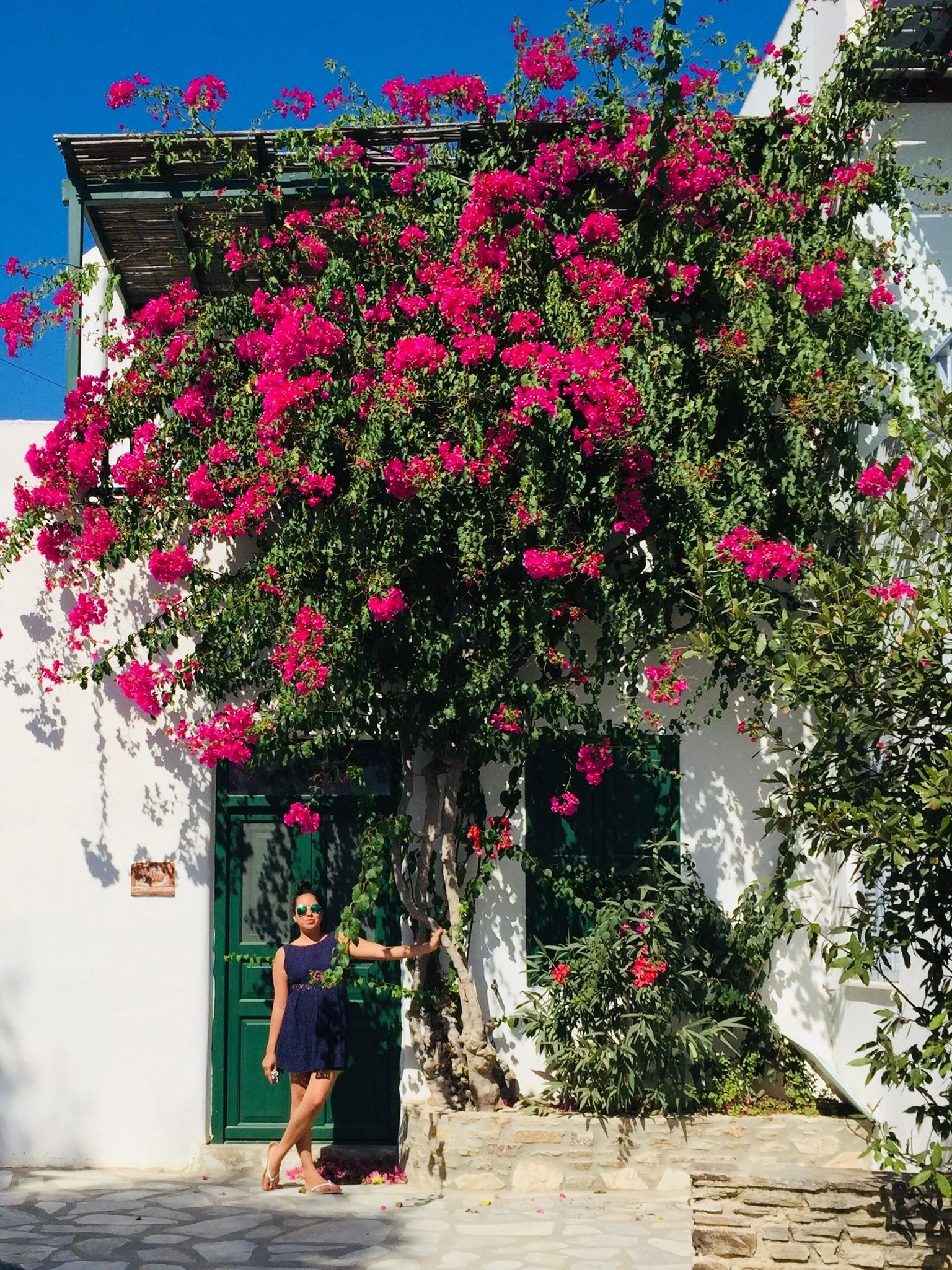 Transfer Chart and Bonus