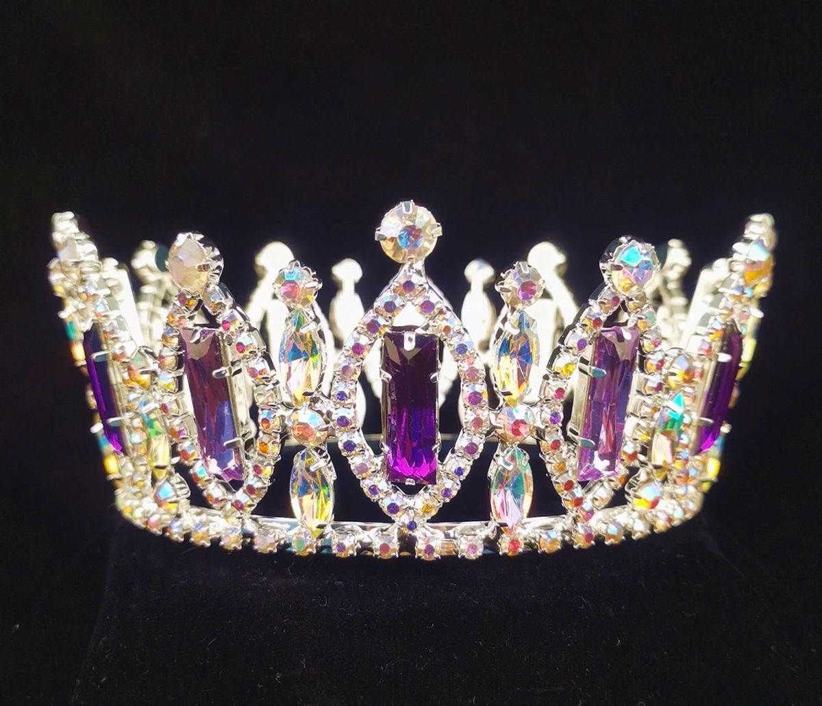 Rapunzel Purple Round Crown