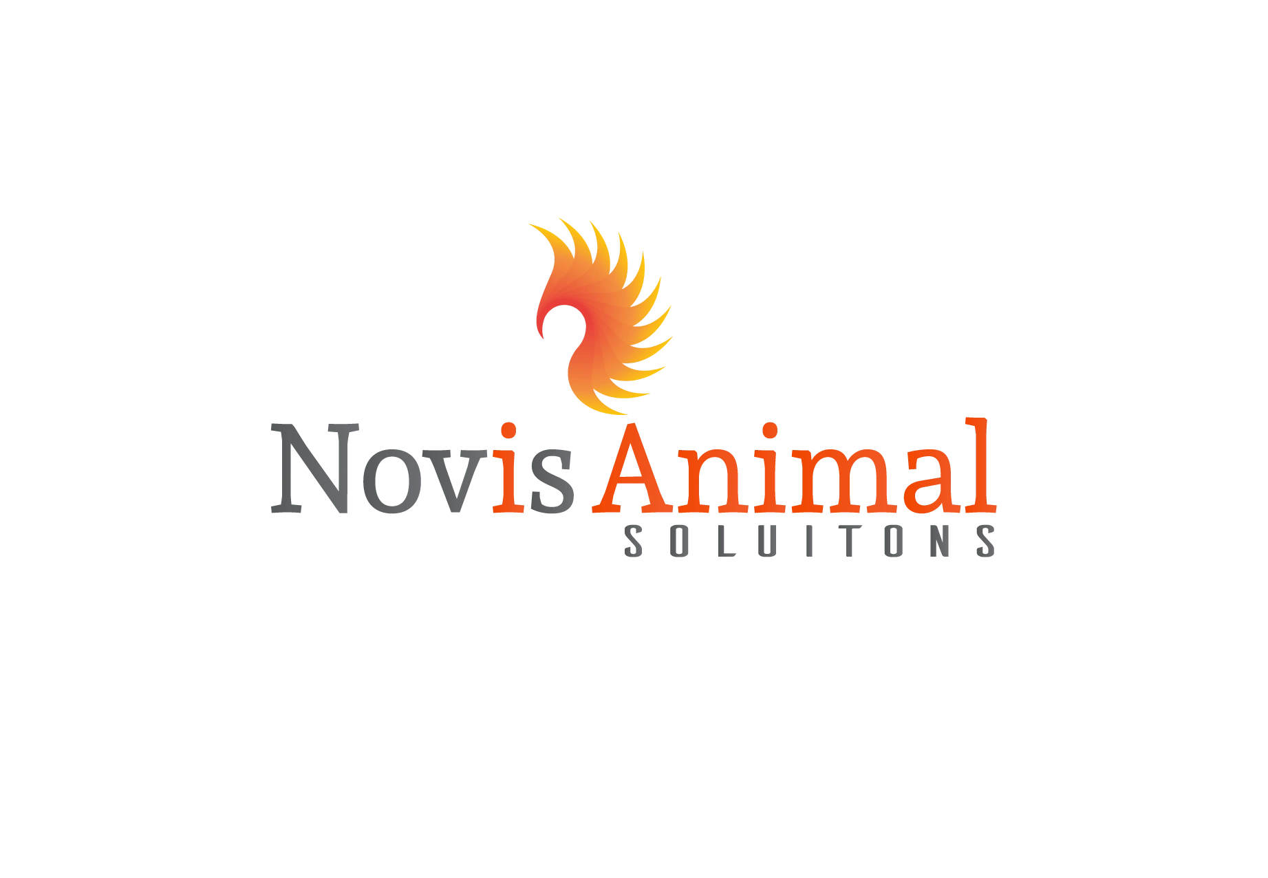 Novis Solutions