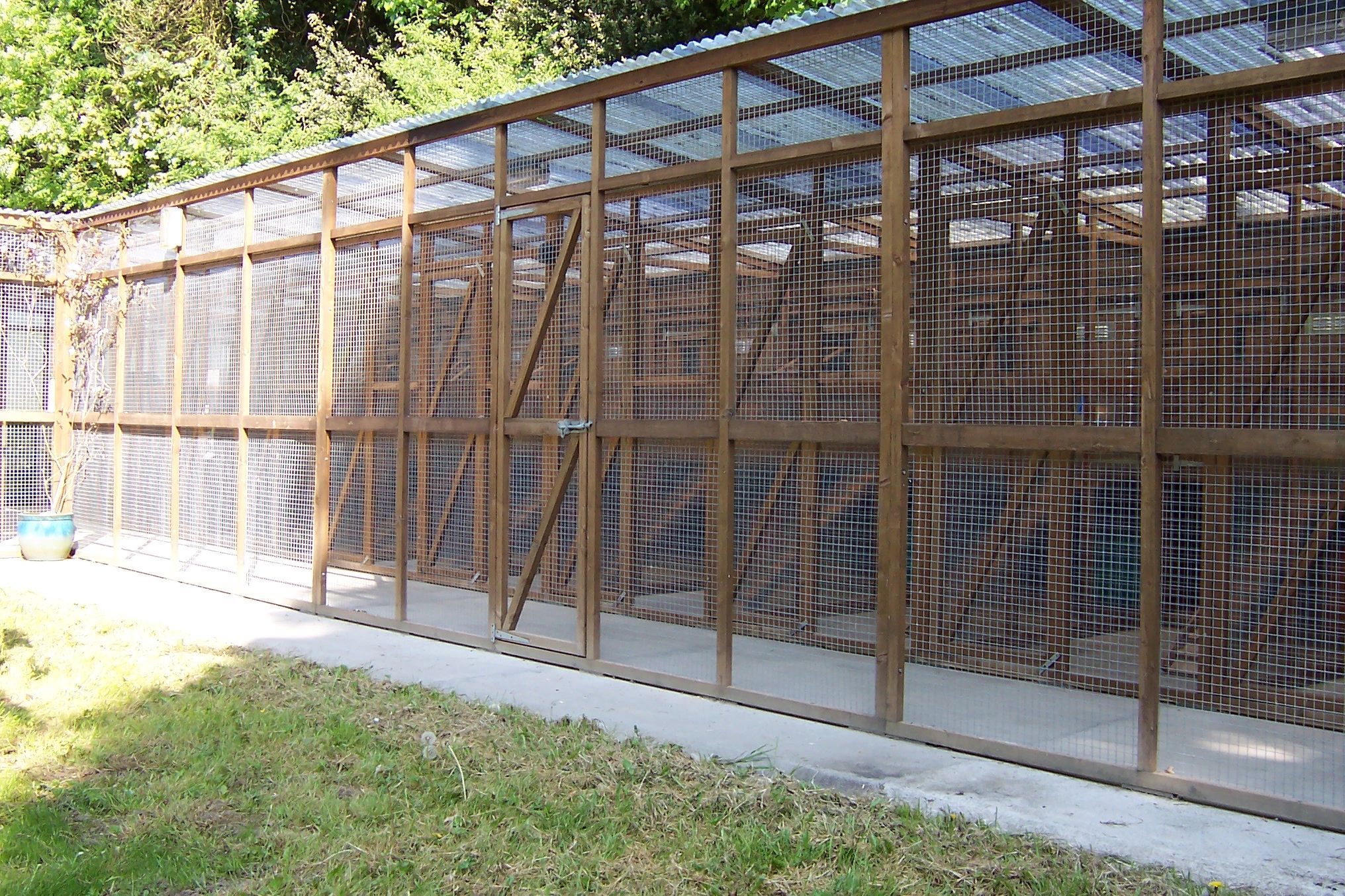 Cat Boarding Services at Aristock Cattery