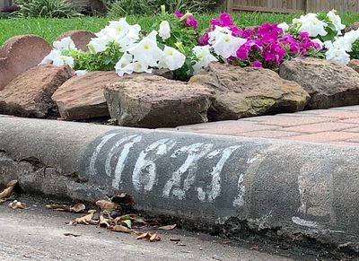 Best Curb Painting - Cool Curb - Curb Painting, Curbside Painting