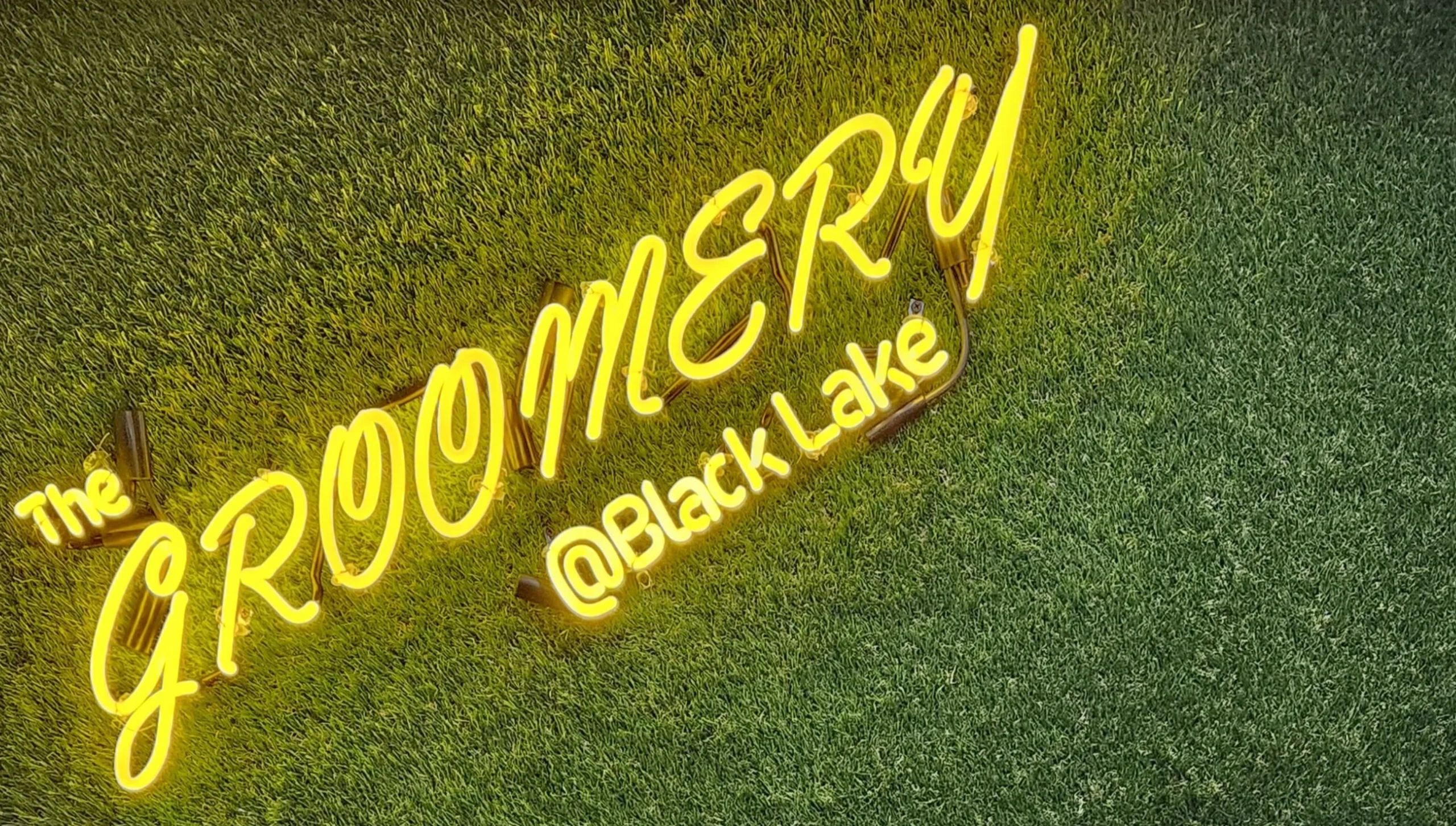 Top Pet Grooming Services for Your Furry Friends