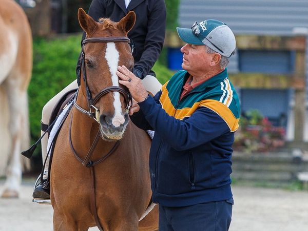 About | Daisy Hill's Equestrian