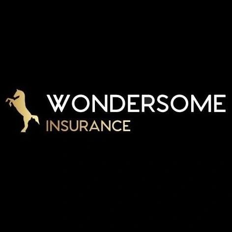 WONDERSOME INSURANCE