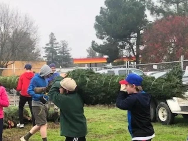 Davis Boy Scout Christmas Tree Lot