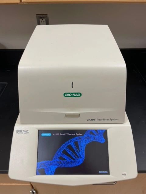 BIO-RAD CFX96 Touch Real-Time PCR Detection System