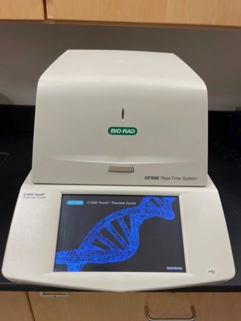 BIO-RAD CFX96 Touch Real-Time PCR Detection System