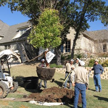 The Tree Place - Trees & Plants