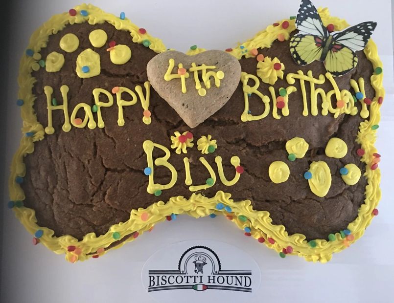 Dog Birthday Cakes in Denver - Biscotti Hound Dog Biscuit Bakery