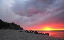 Broadway Ragdolls Cattery - Ragdoll Kittens LI NY Ragdoll Breeder