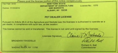 Broadway Ragdolls Cattery - Ragdoll Kittens LI NY Ragdoll Breeder